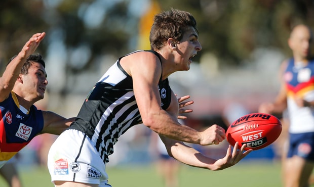 Selection: Debutant potential at AFL and SANFL levels