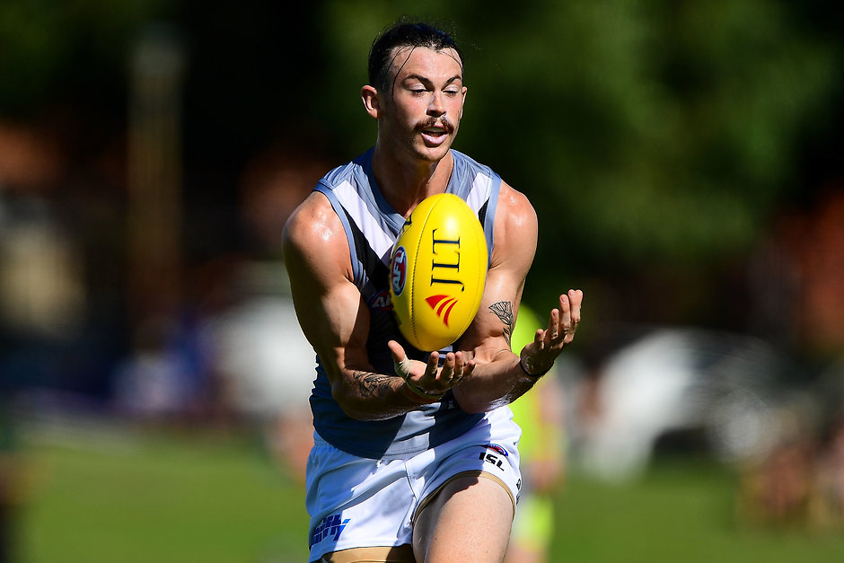 Pittard injury opens backline door