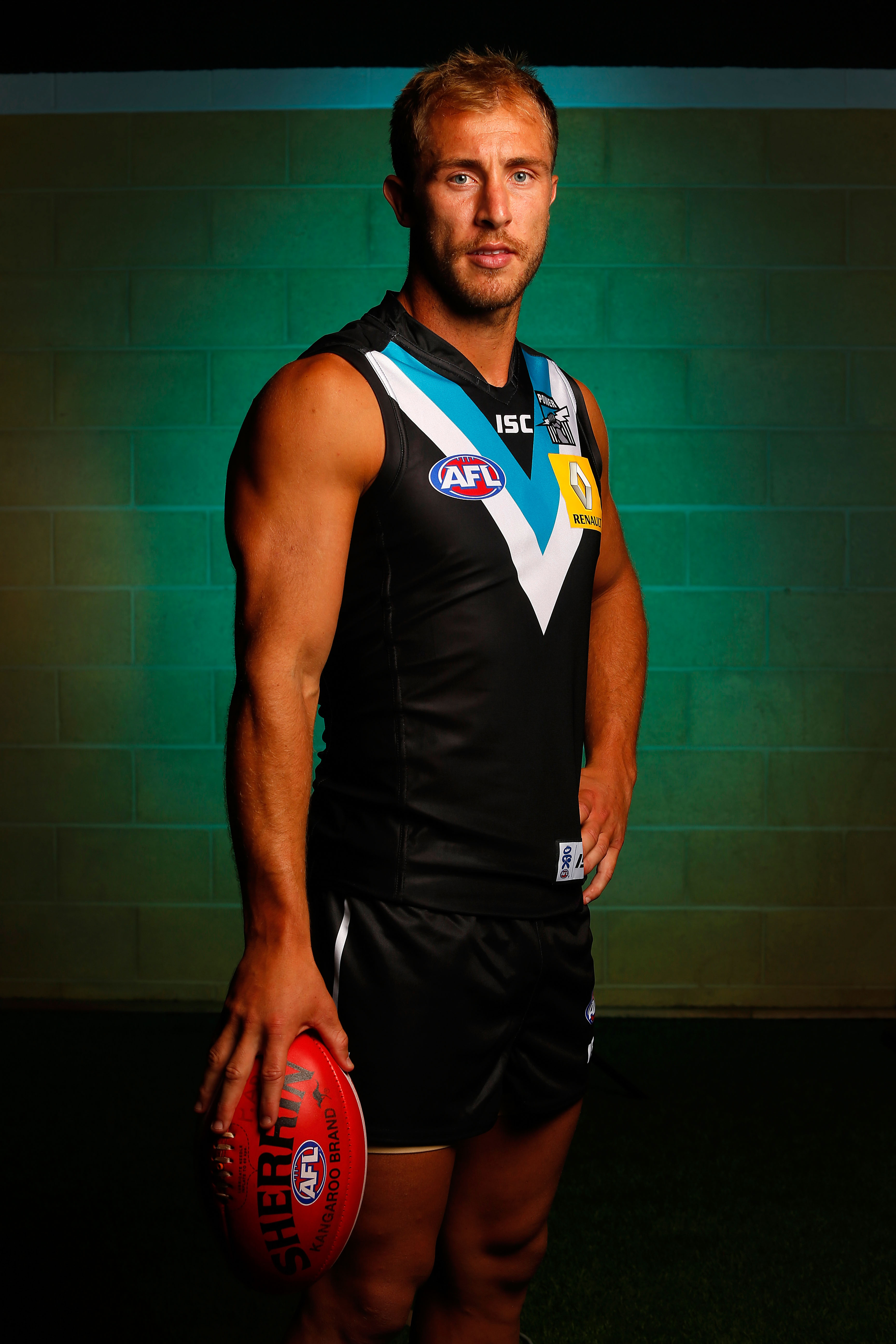Selection: Five inclusions for Cats