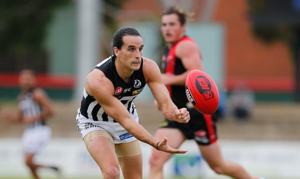 Nineteen AFL players qualify for upcoming state league finals