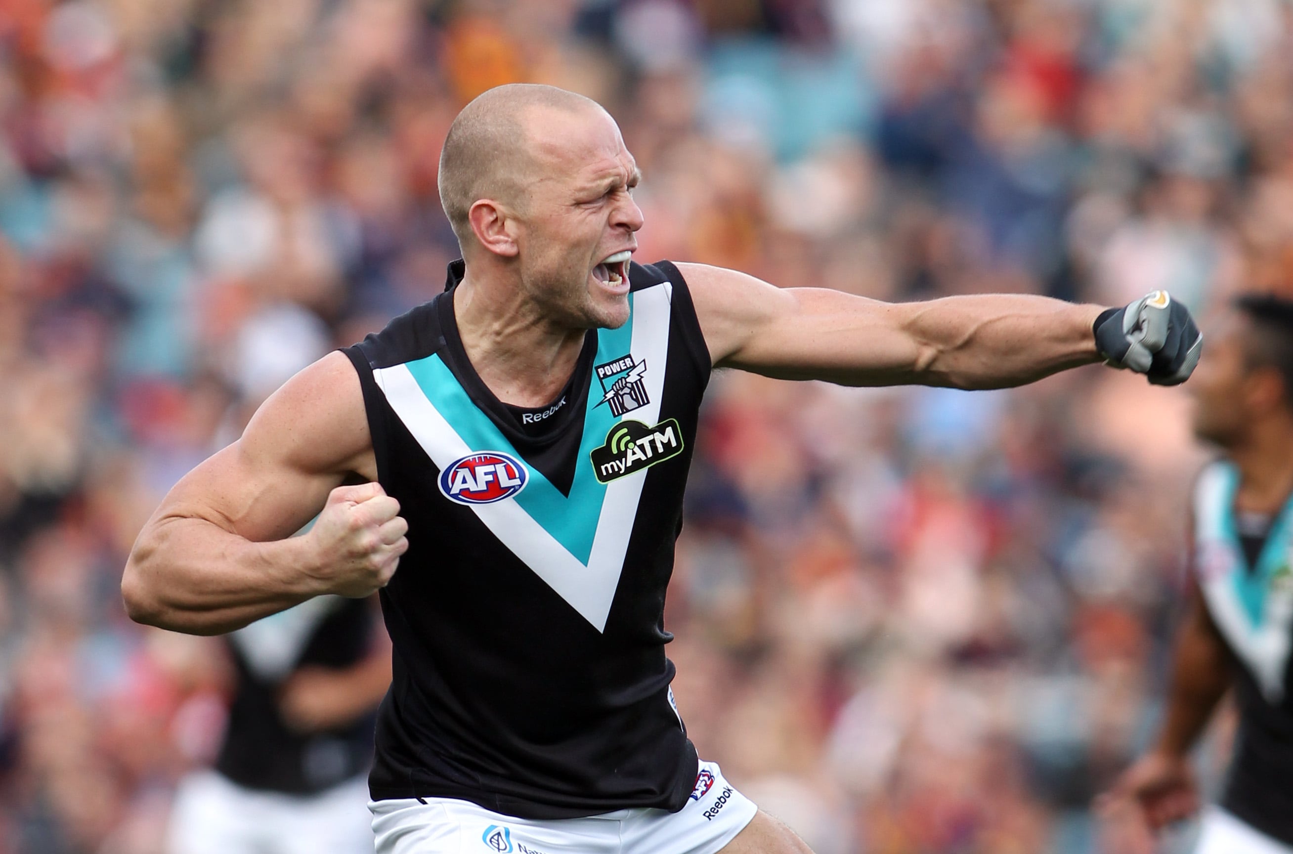 Crows, Collingwood still Port fans' most hated.