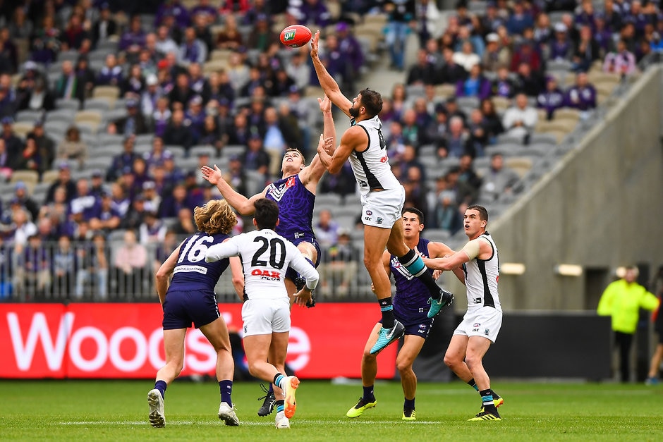 Paddy Ryder, Todd Marshall update