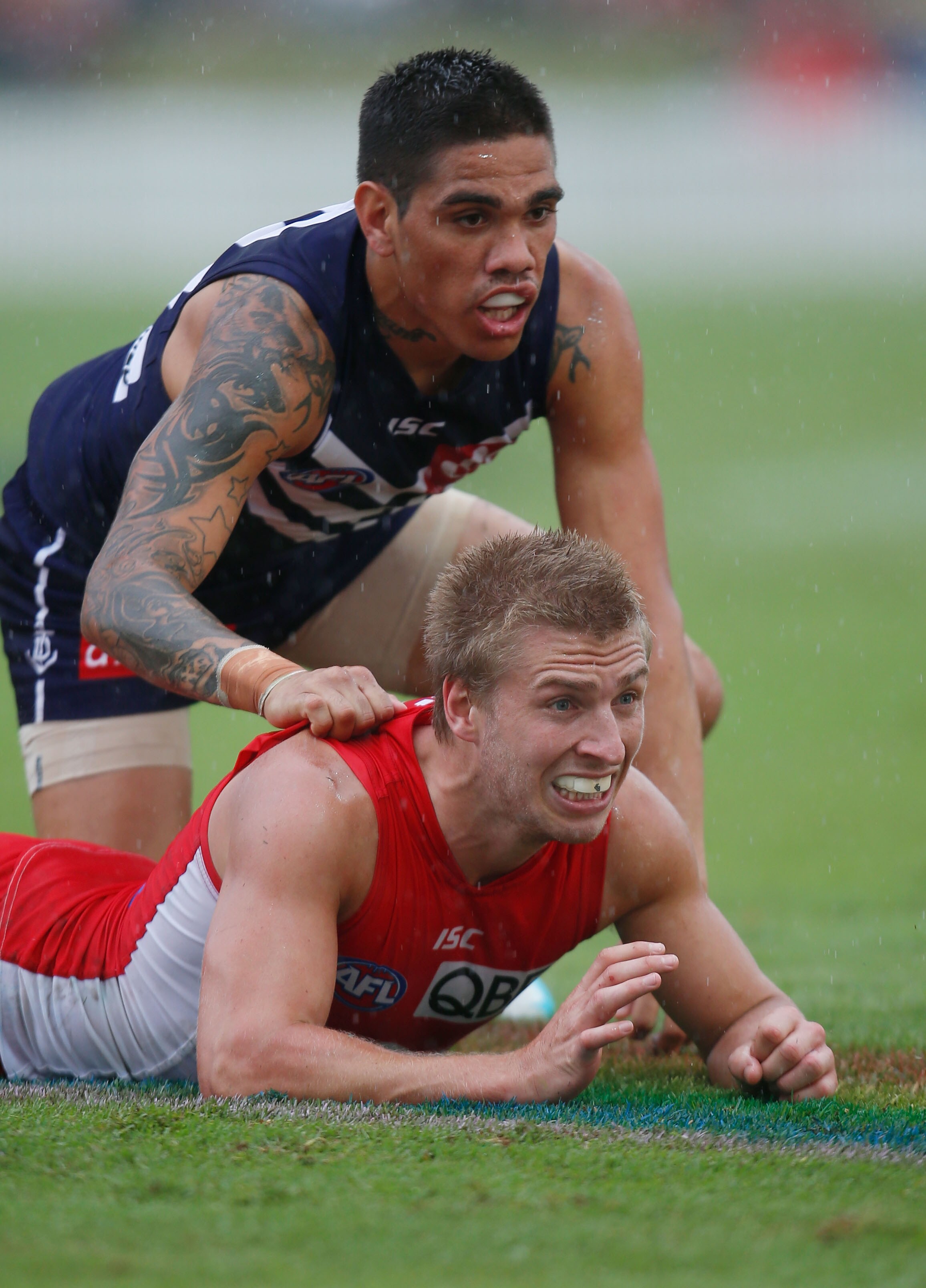 Mixed news for Freo forwards