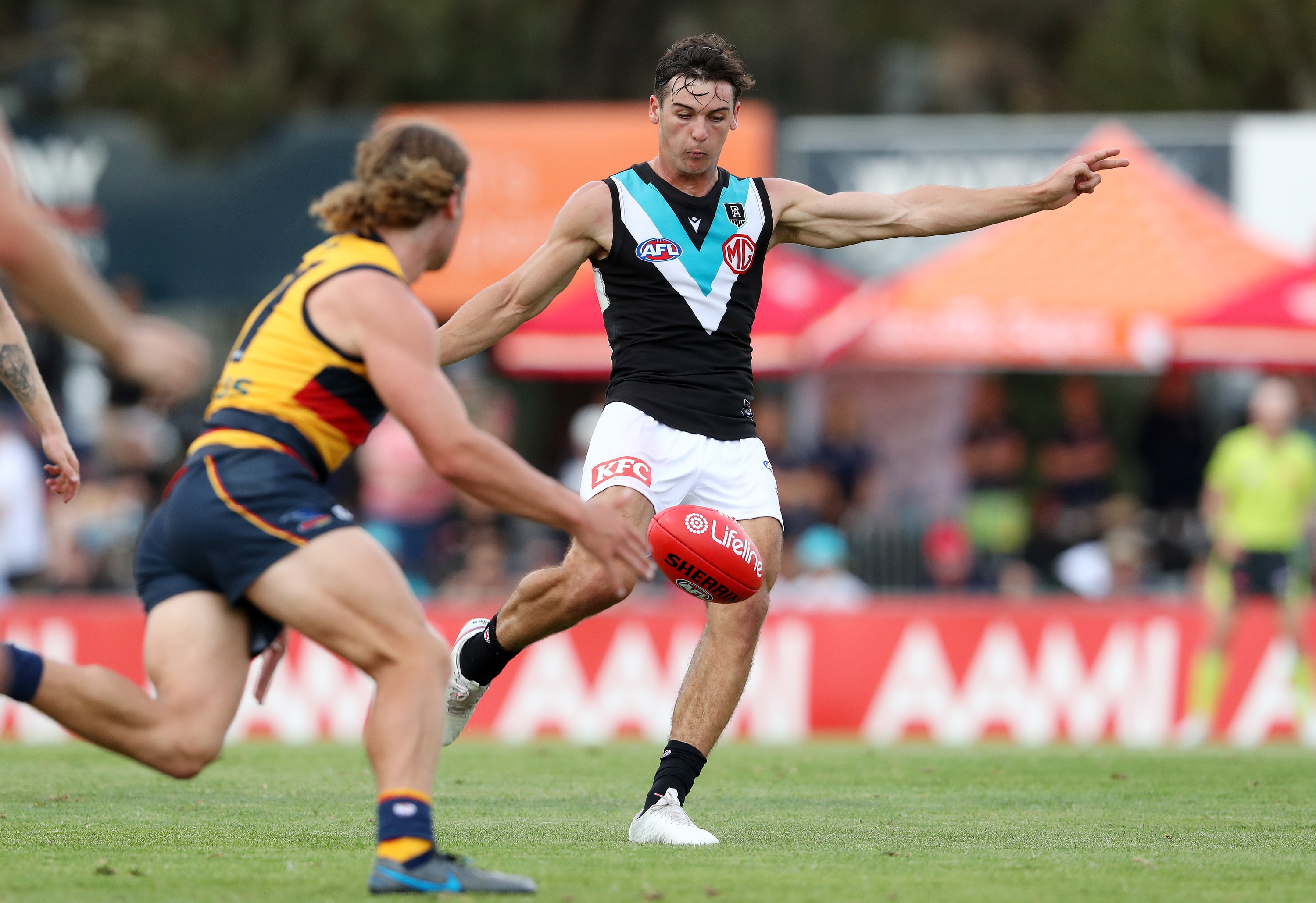 Rozee undergoes successful surgery