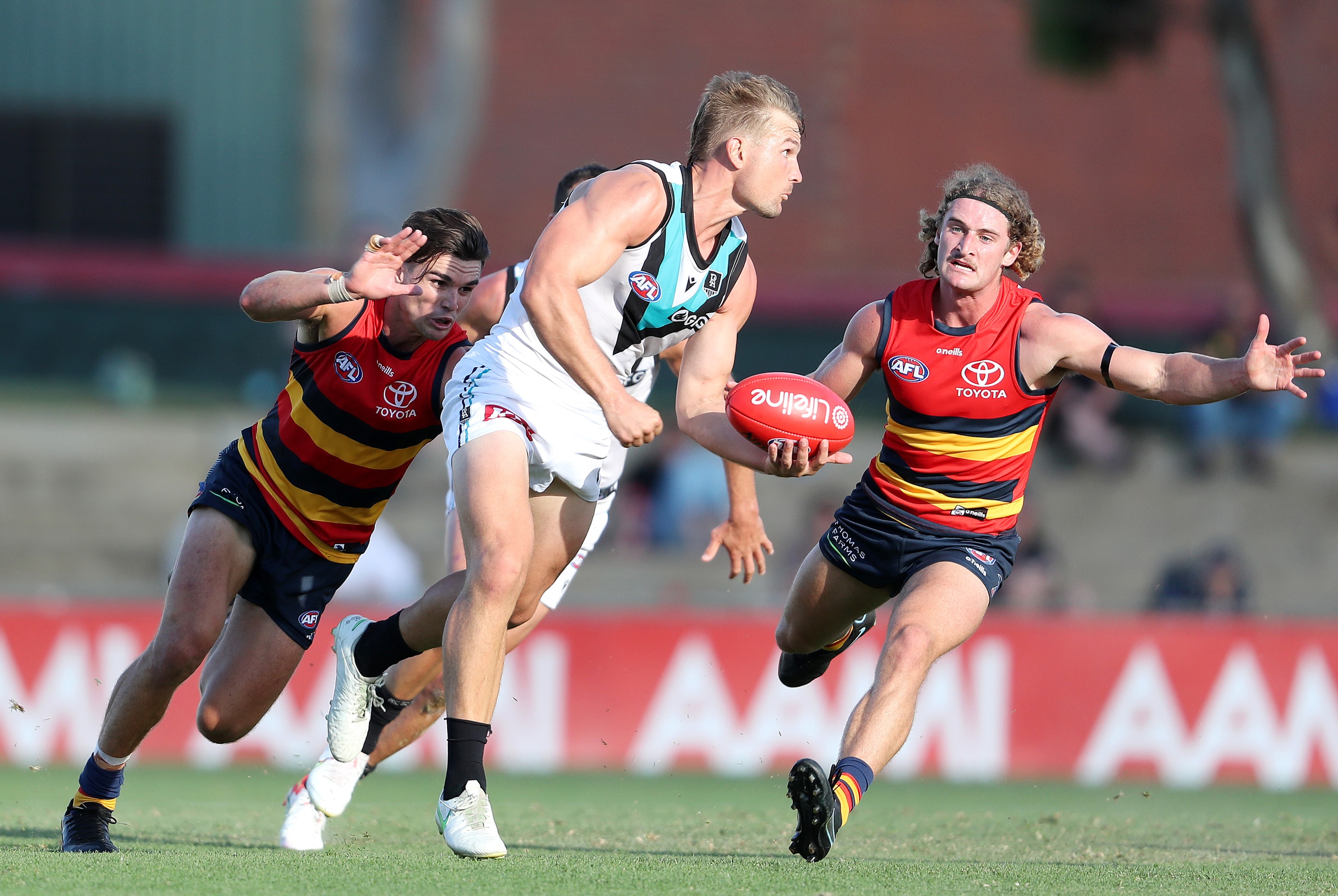 All you need to know: Match simulation vs Adelaide