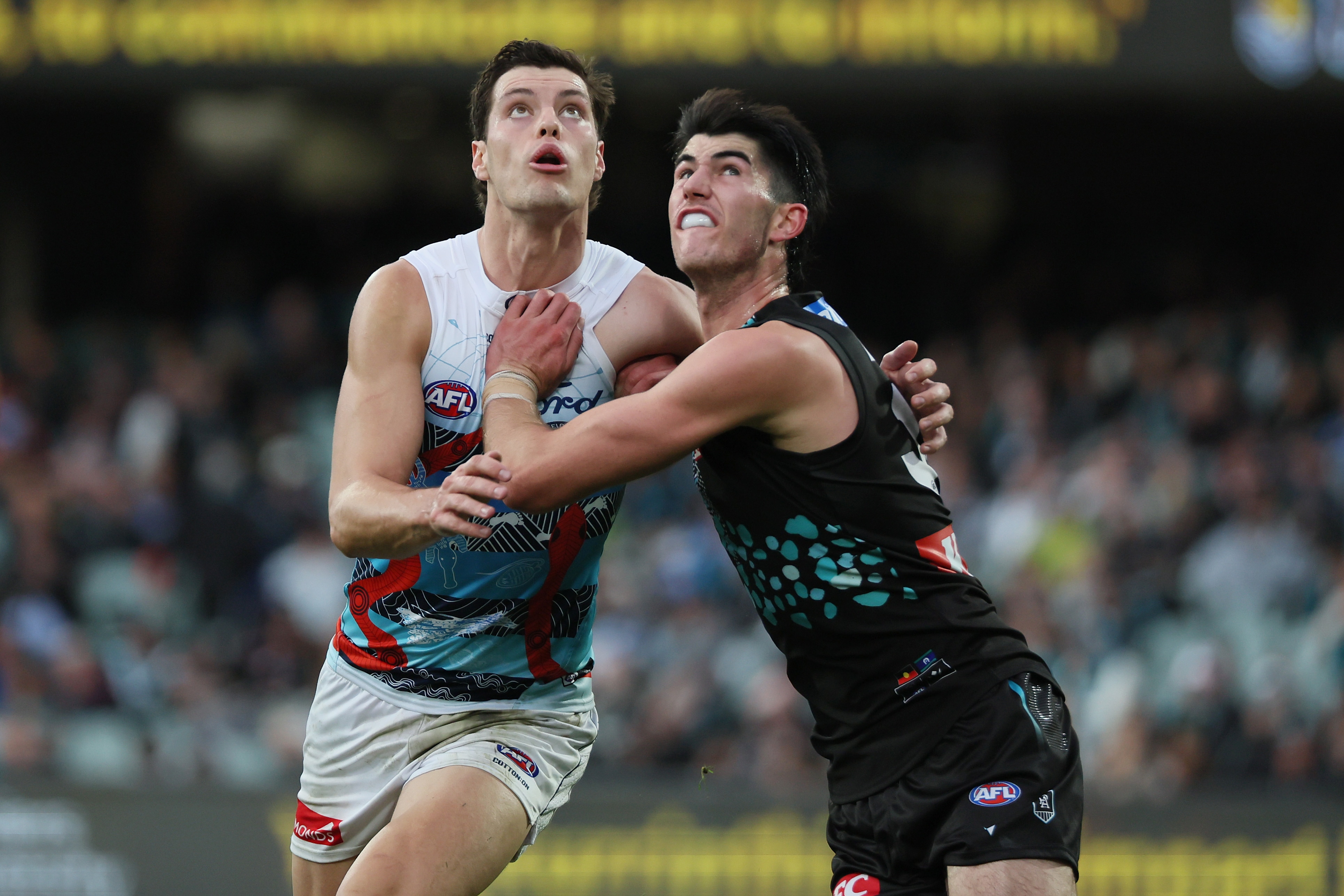 Match report: Yartapuulti overpowered by classy Cats