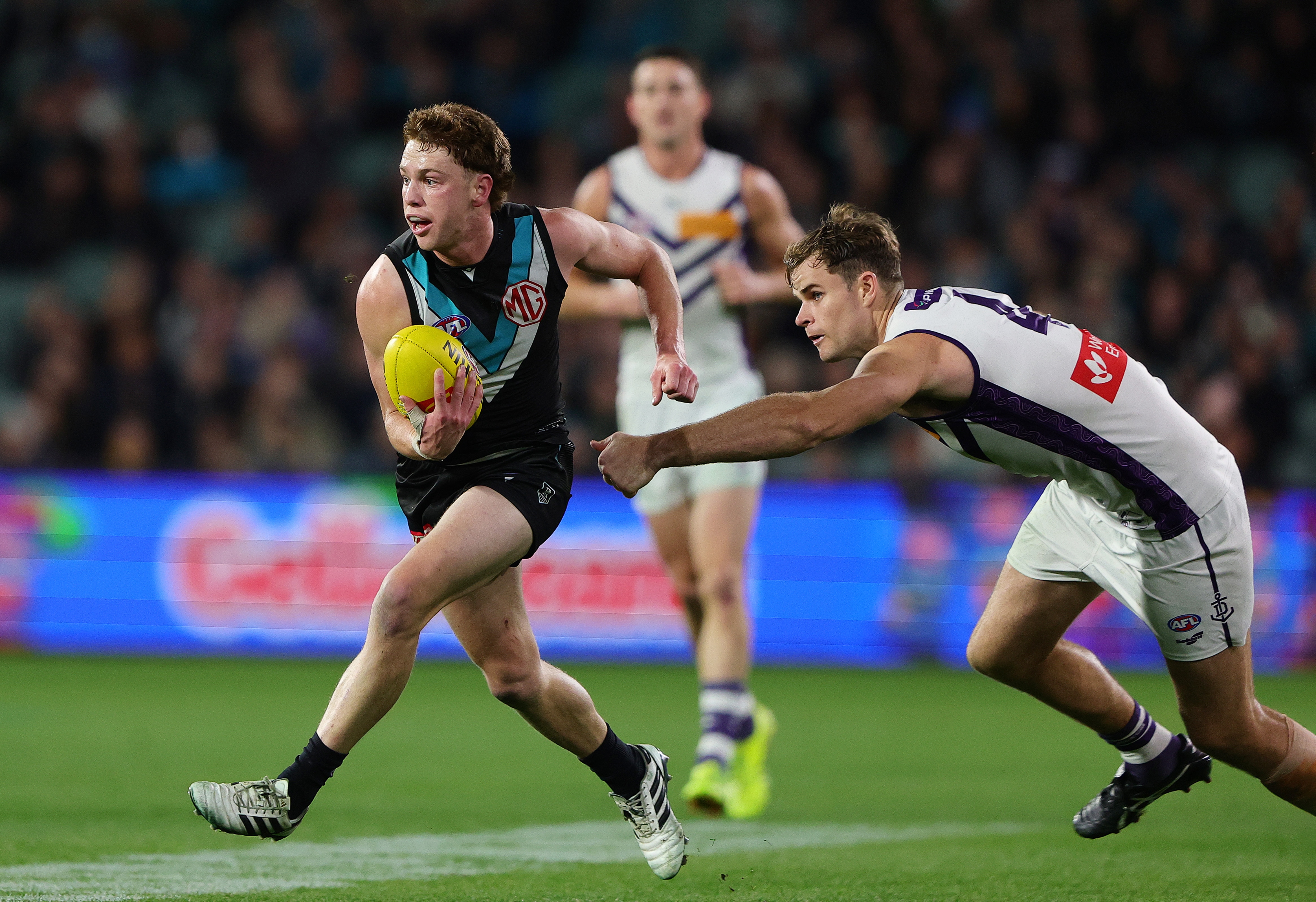 Berry building confidence in first AFL year