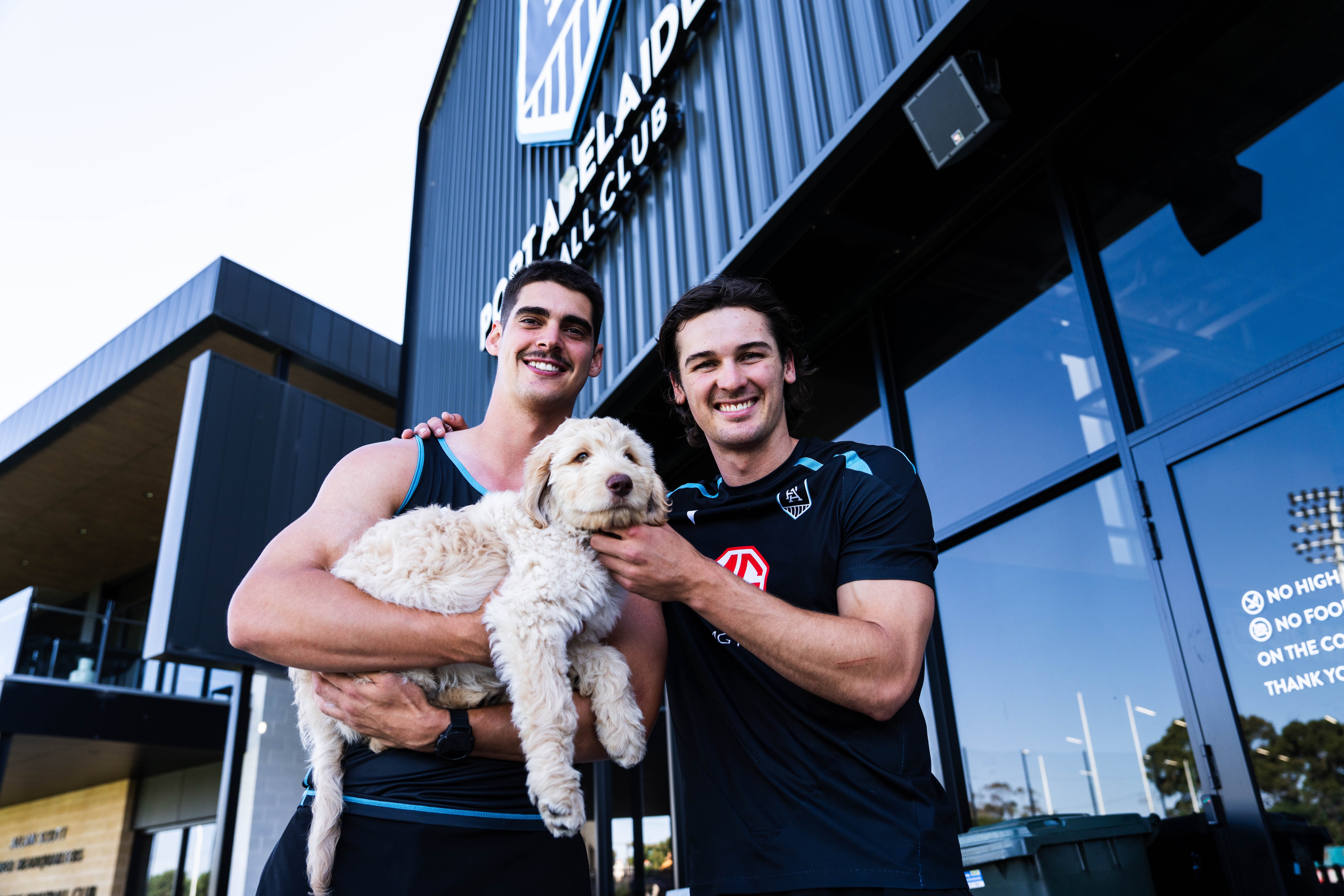 The power of Albie: How a labradoodle puppy found his home at Alberton