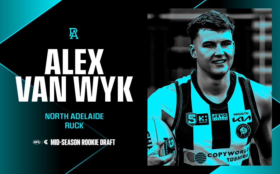 Power pick van Wyk in mid-season draft