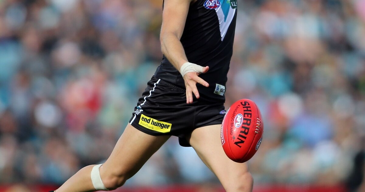 SANFL Report: Sammy C strong again