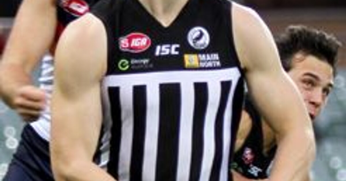 What's the Craic? - July edition