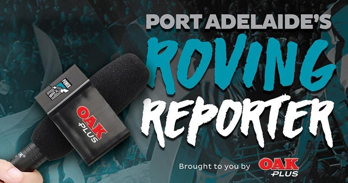 Roving Reporter: Damon Adams