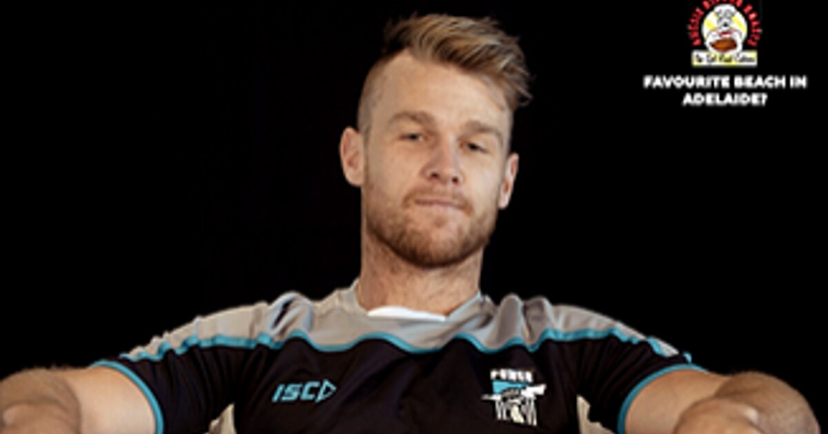 PTV: The Roast - Adelaide