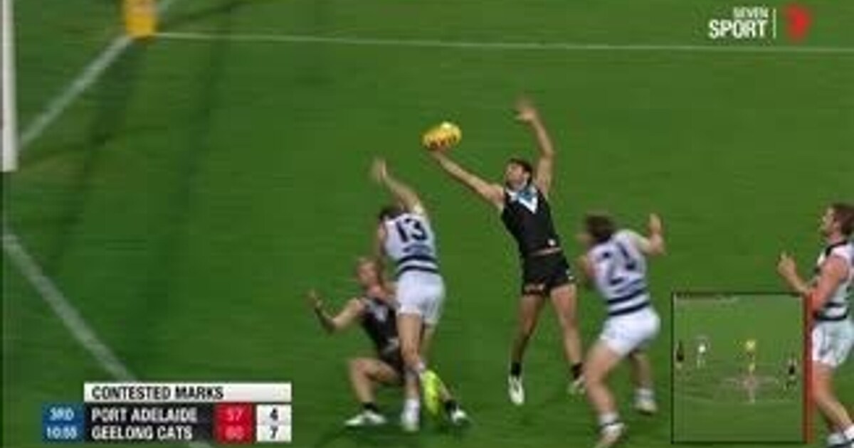 PTV: Wingard incredible one handed mark