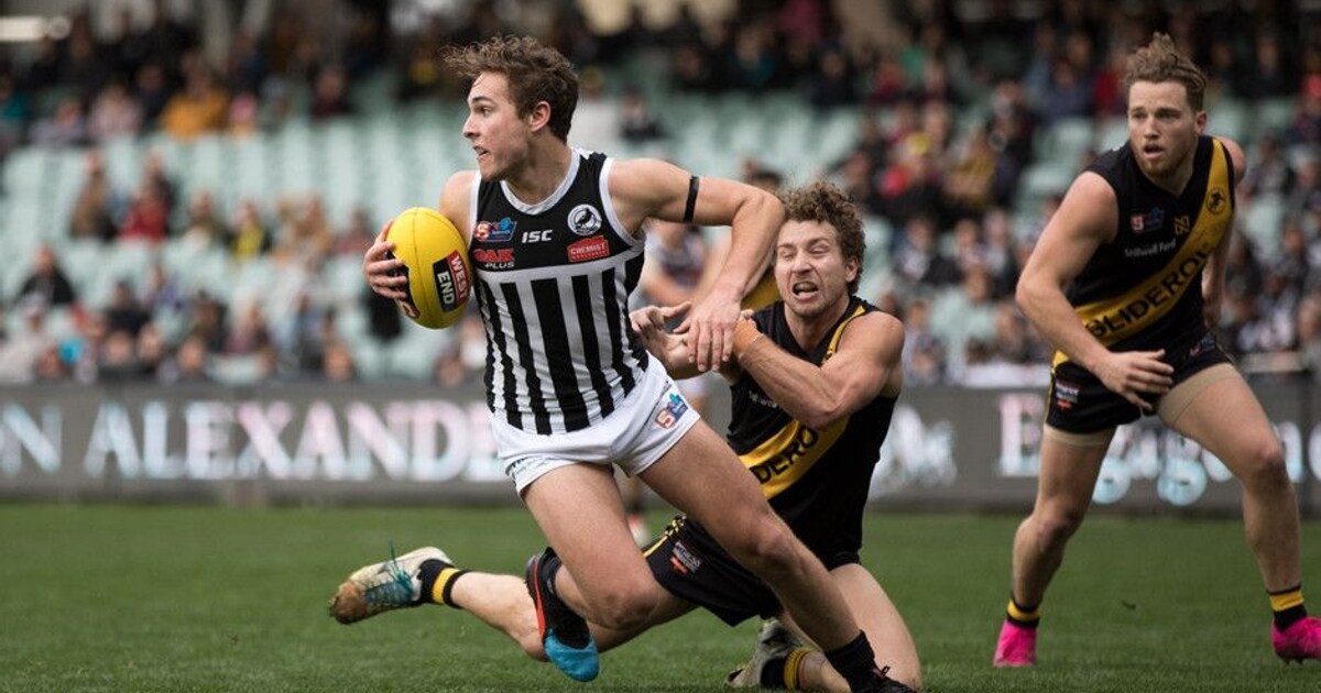 SANFL fast facts: Grand Final