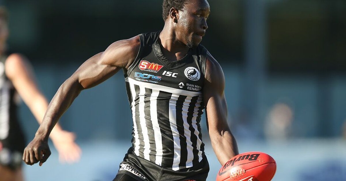 SANFL Game Info: Round 16