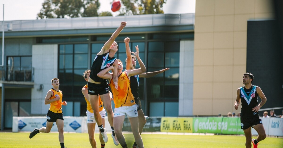 Match simulation to be live streamed