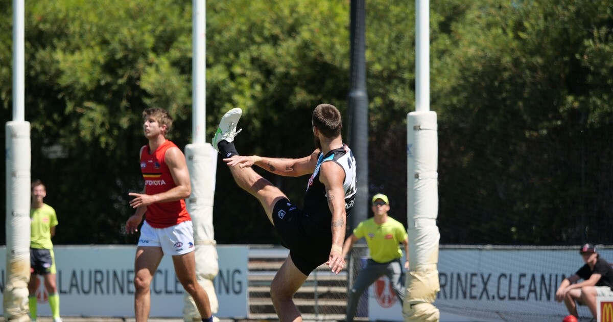 Gallery: AFL Practice Match