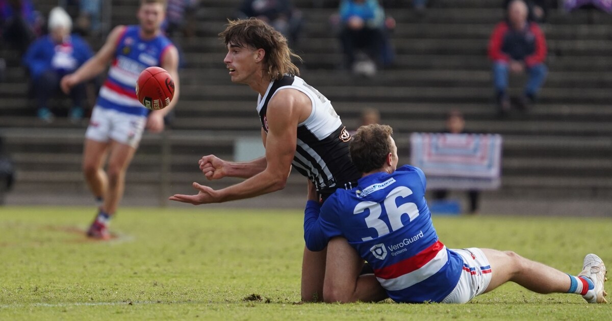 Gallery: SANFL Round 10 - Port Adelaide vs Central District