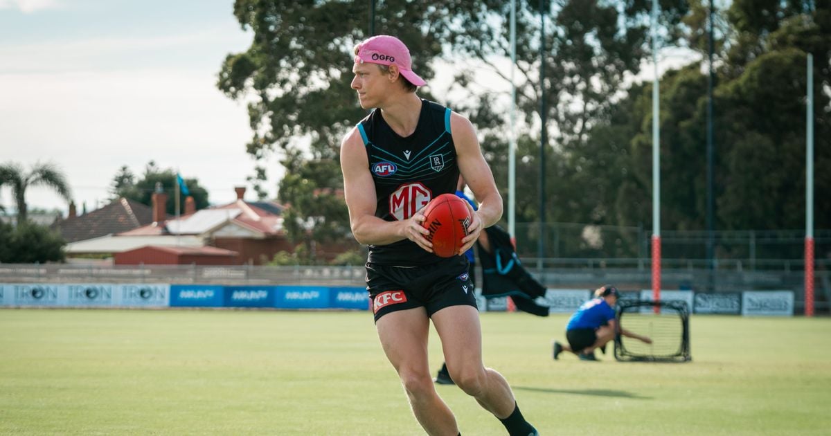 Pasini "extremely grateful" for continued support amid knee rehabilitation