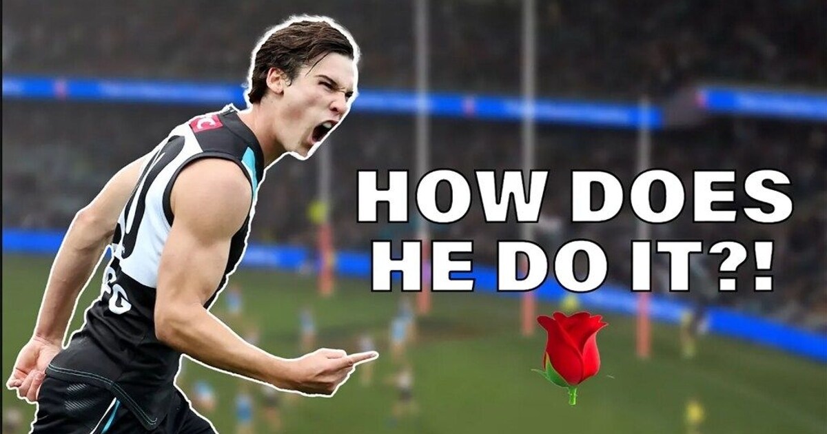 2023 mid-season highlights: Connor Rozee | PTV