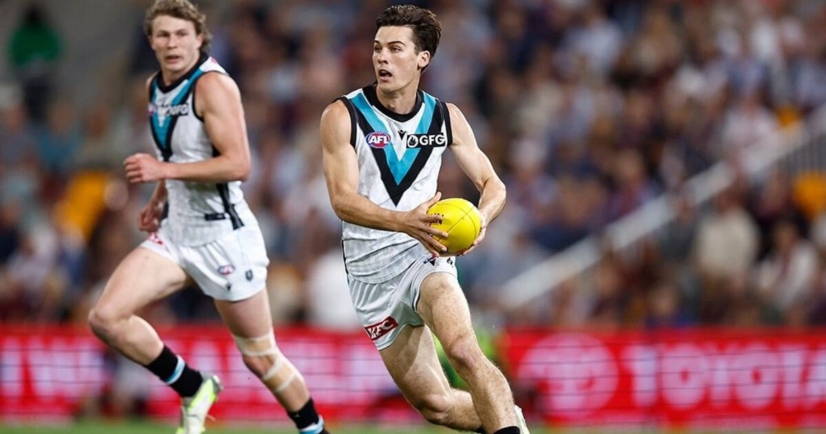 Epic Rozee bomb sparks Power to life | PTV