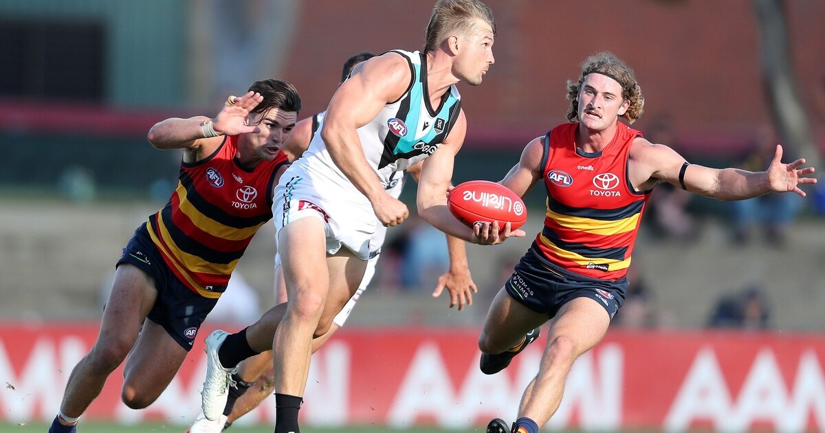 All you need to know: Match simulation vs Adelaide