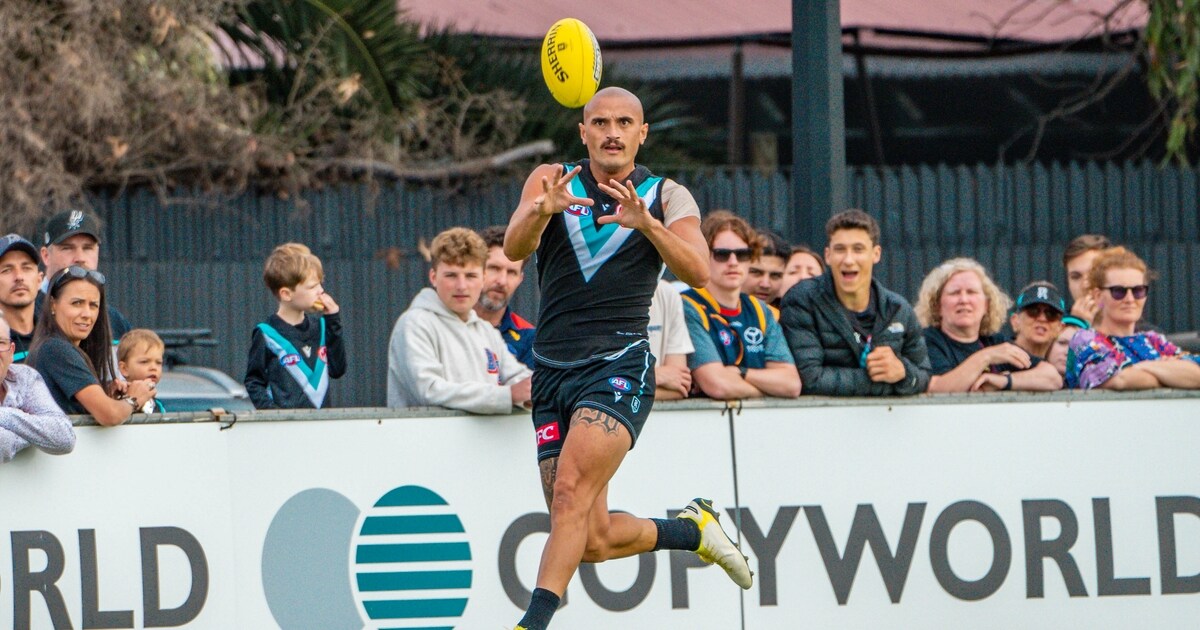 Powell-Pepper sent directly to AFL tribunal