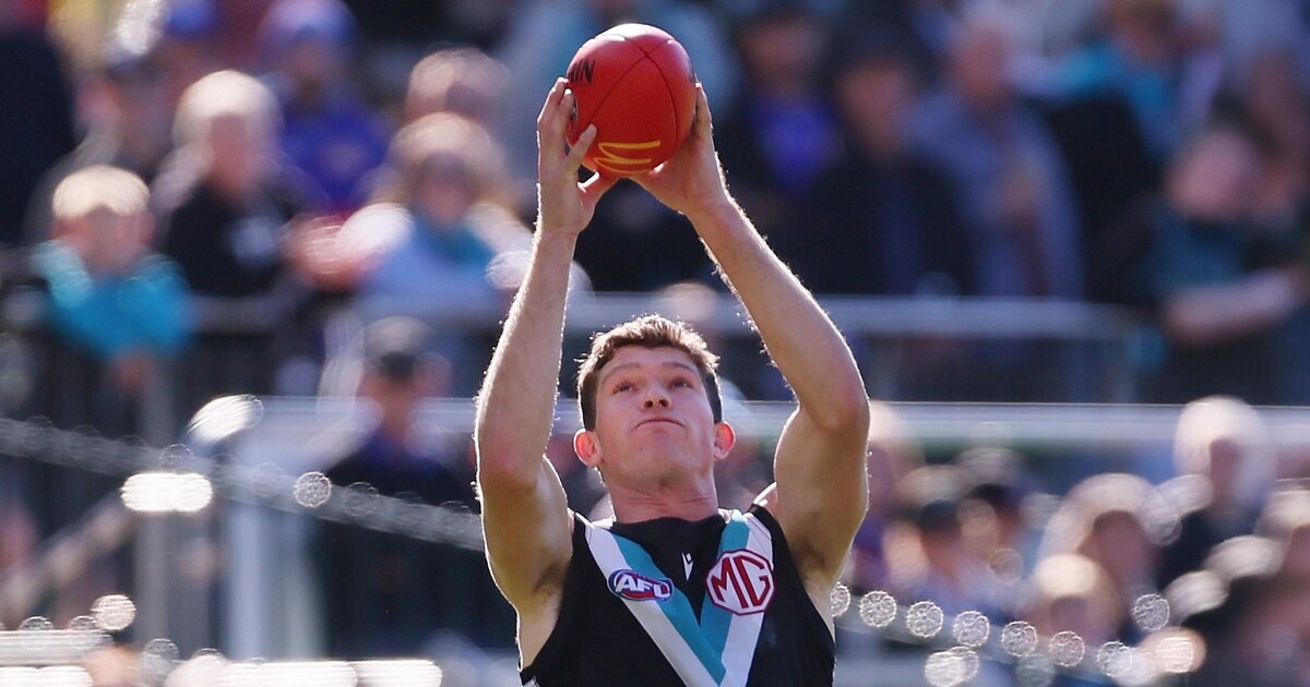 Port Adelaide accepts Georgiades ban