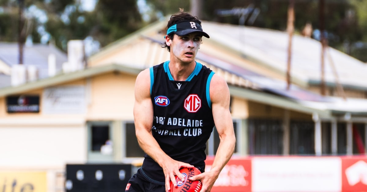 Rozee on family, Alberton Oval transformation and Power's refreshed ...